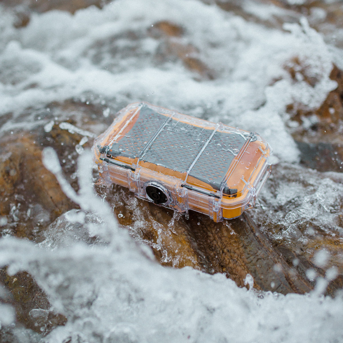 Welcome to Evergreen