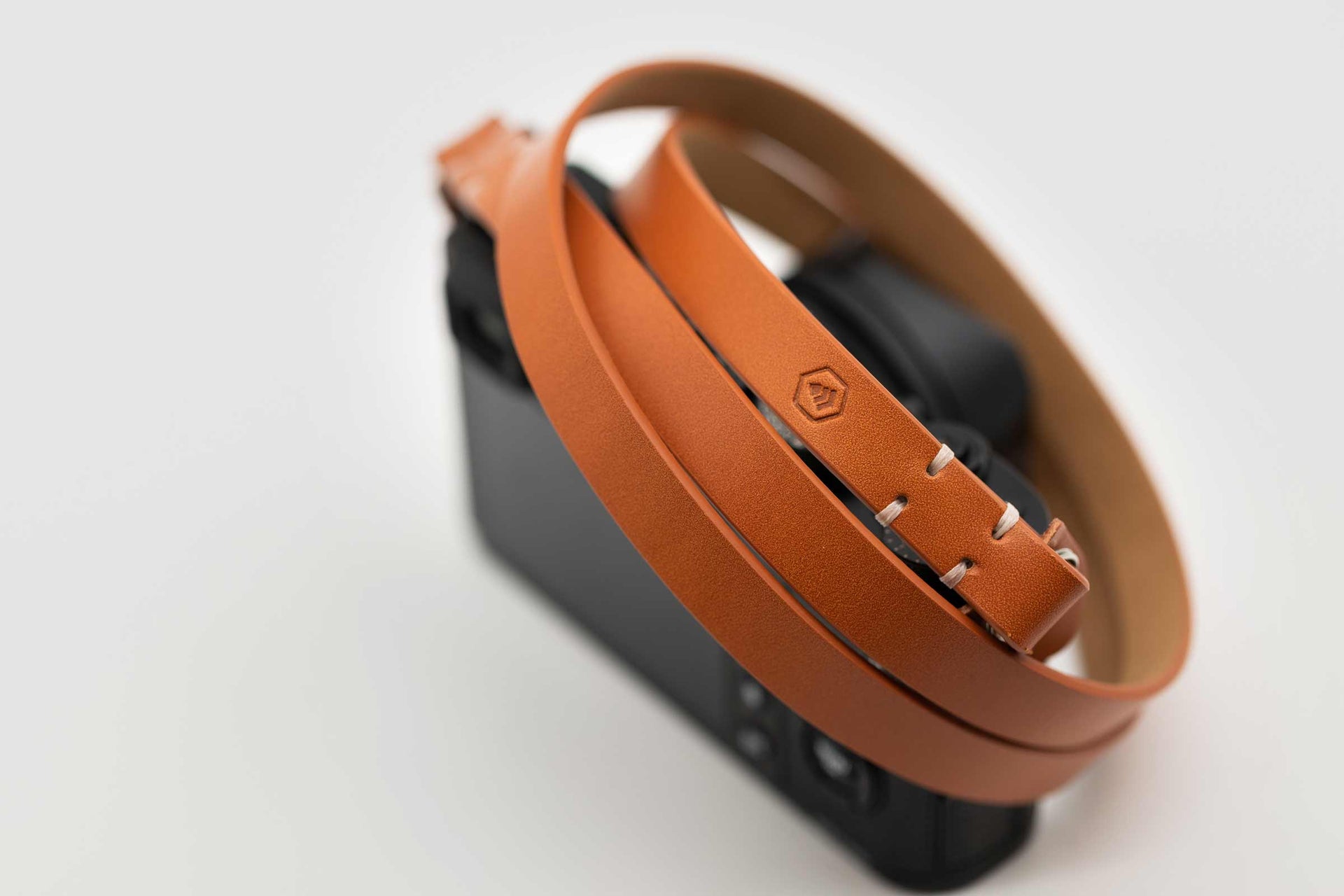 Creator Series – Evergreen