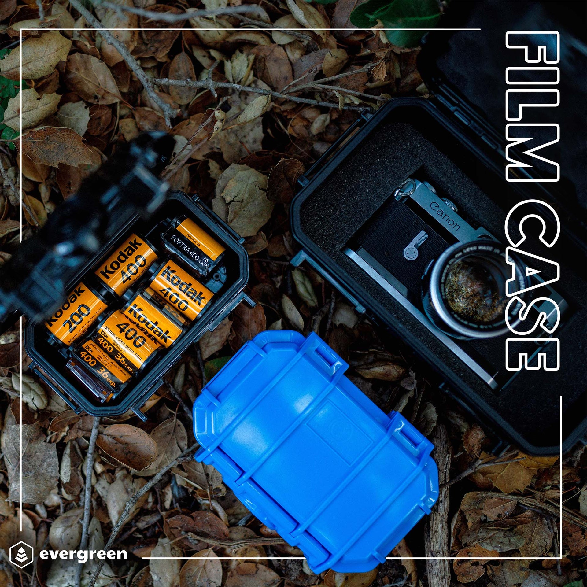 Creator Series – Evergreen