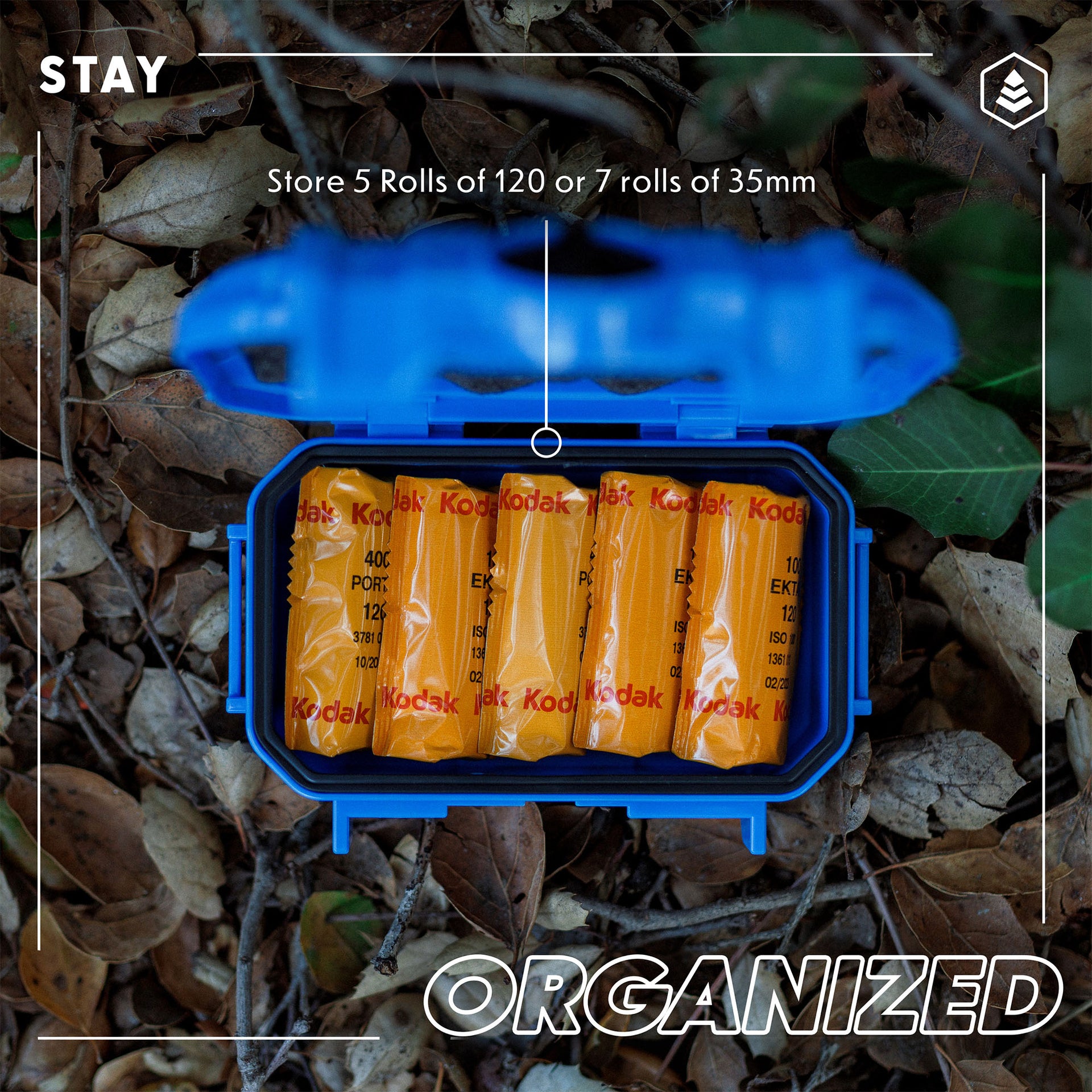 Creator Series – Evergreen